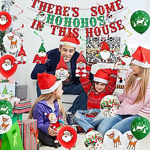 Funny Christmas Glitter Banner There's Some Ho Ho Hos in This House Banner Balloons Decorations for Winter Merry Xmas Background Baby Shower Decoration Photo Booth Props