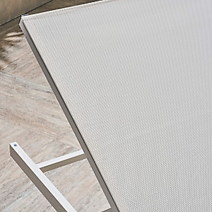 Christopher Knight Home Salton Outdoor Aluminum and Mesh Chaise Lounge Set, 2-Pcs Set, White / White