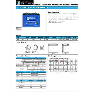 Mighty Max Battery YTX12-BSGEL -12 Volt 10 AH, GEL Type, 180 CCA, Rechargeable Maintenance Free SLA AGM Motorcycle Battery