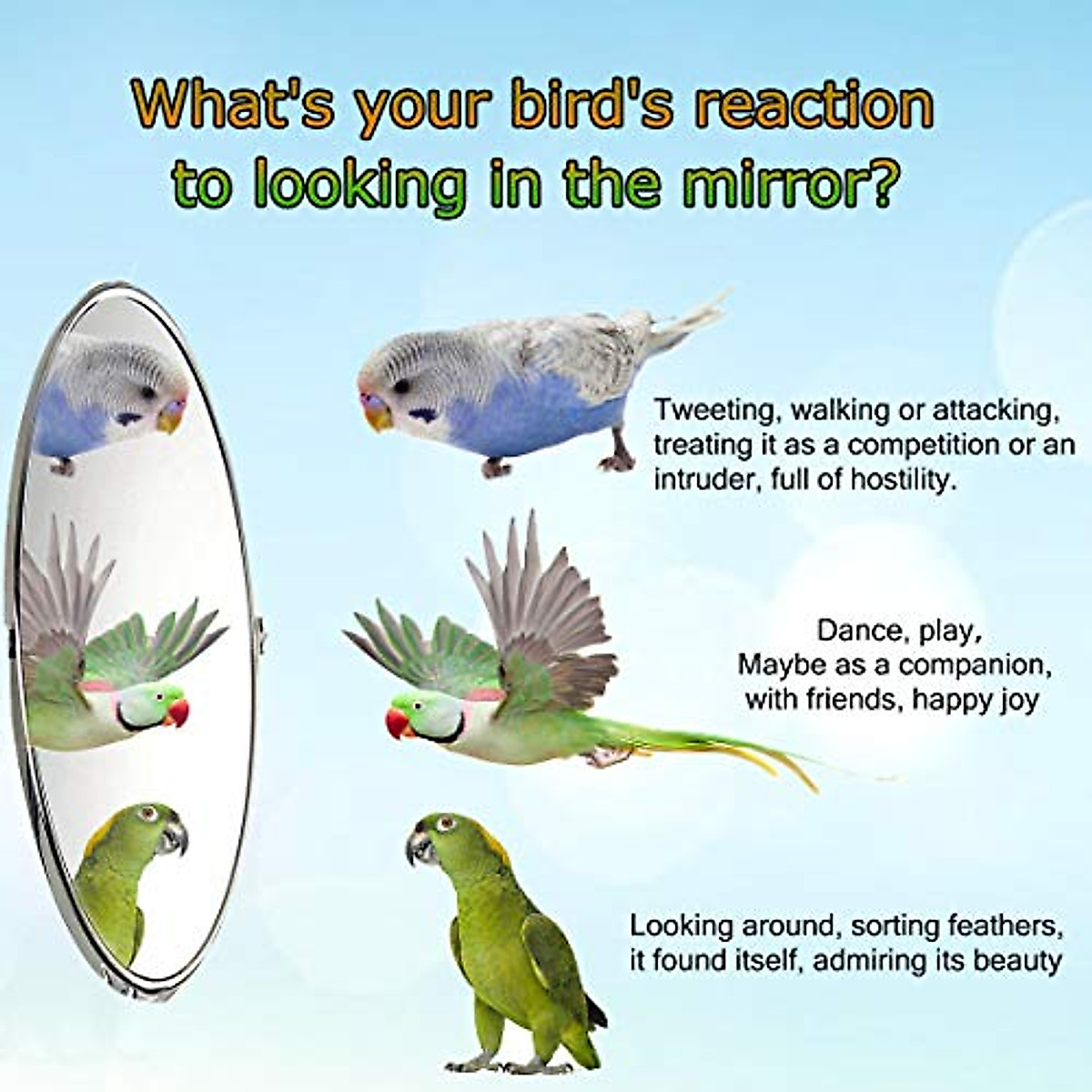 Hamiledyi Bird Mirror with Wooden Perch,Birdcage Fun Platform Stand Toys