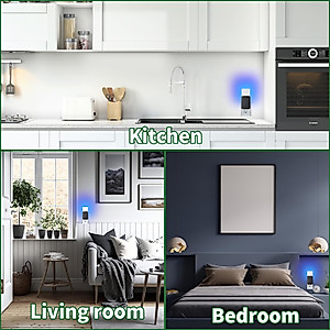 Carmelie Fly Trap Indoor, Fruit Fly Trap for Indoors, Plug-in Flying Insect Traps Catcher with Dimmable UVA Attract Night Light Mode, for House Flies Bugs Mosquito Pest, Black(1 Device+5 Glue Cards)