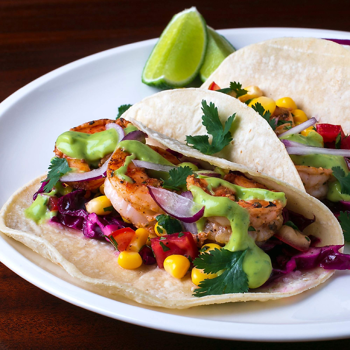 Holstein Housewares Electric Griddle for Toasting Sandwiches, Various Snacks - Black/Stainless Steel