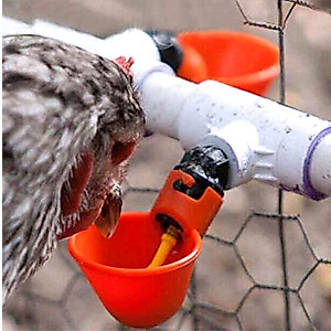 DoubleWood Fully Automatic Poultry Drinking Machine Chicken Drinking Cup, Chicken Drinking Watering Cups/Poultry Drinking Machine (24)