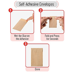 Mr. Pen- Kraft Coin Envelopes, 2.25" x 3.5", 100 Pack, Kraft Envelopes, Seed Envelopes, Small Envelopes, Gift Card Envelopes, Mini Envelopes, Key Envelopes, Seed Packet Envelopes, Stamp Envelope