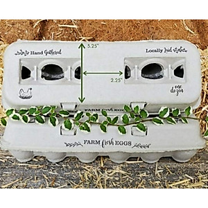 250 Egg Cartons – Vintage Design with Blank Center for Your Custom Stamp at a Cheap Bulk Price, 100% Recycled Biodegradable Cardboard Cartons, Sturdy & Reusable, Holds Small to XL Chicken Eggs