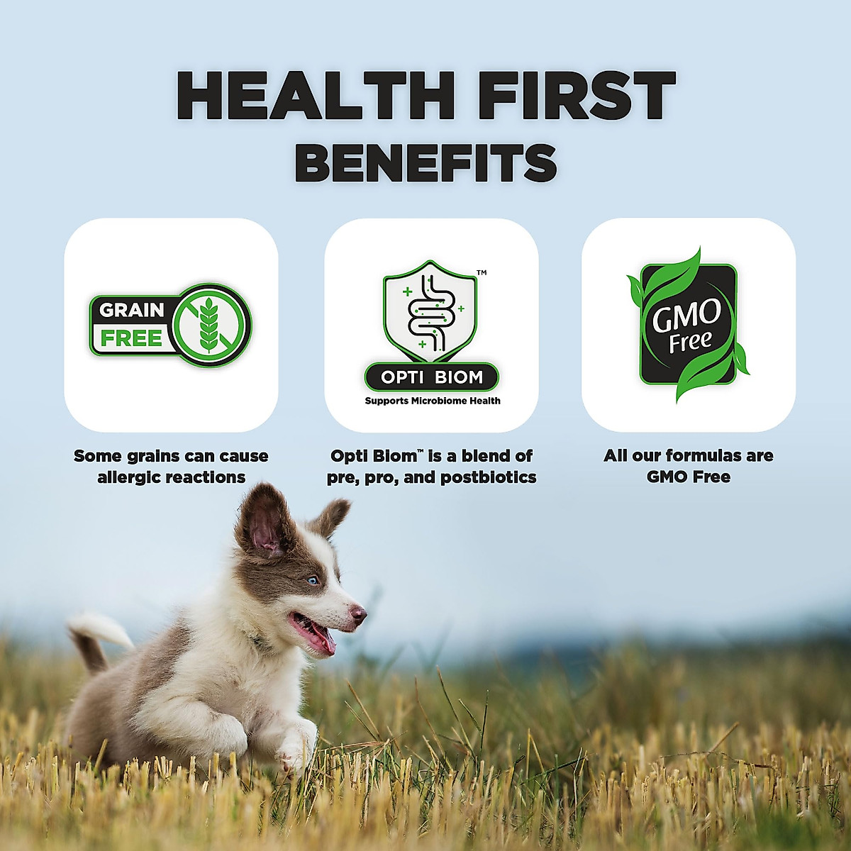 Nature's HUG Dry Dog Food, Puppy-Medium & Large Breeds, 20 lb. Bag, Chicken Flavor Plant-Based Protein Vegetarian Kibble, Grain-Free, Allergen-Free, Complete Protein & Balanced Nutrition