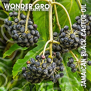 Jamaican Black Castor Oil Hair Grease Styling Conditioner, 12 fl oz - Great for Strengthening - Mega Hair Growth Therapy by Wonder Gro