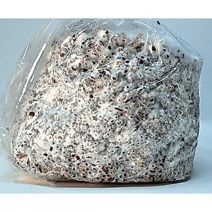 Myco Labs Premium 5-Grain Mushroom Spawn Bags | Sterilized Grain Spawn | Injection Ports | 2 Quarts Each Bag | 2 Bags per Box