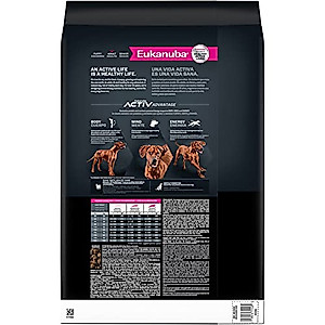 Eukanuba Adult Large Breed Dry Dog Food, 30 lb