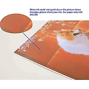 Koala Heavyweight Photo Paper High Glossy 8.5x11 Inches for Inkjet Printing 100 Sheets 61LB