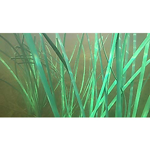 Honey Hole Grass Artificial Fish Habitat