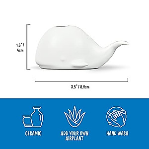 Genuine Fred Fancy Ceramic Mini Air Plant/Succulent Holder, regular, Whale