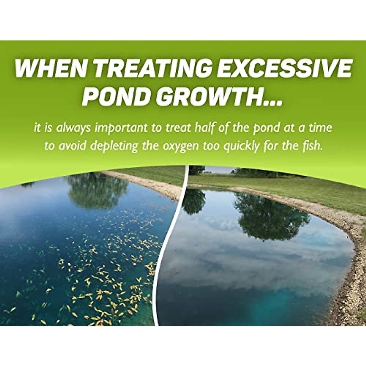 Tsunami DQ Aquatic Herbicide- Quart - 37.3 Percent Diquat Dibromide – Concentrated Aquatic Weed Killer for Lakes and Ponds - Duckweed, Watermeal, Curly Leaf, Pondweed & Many More