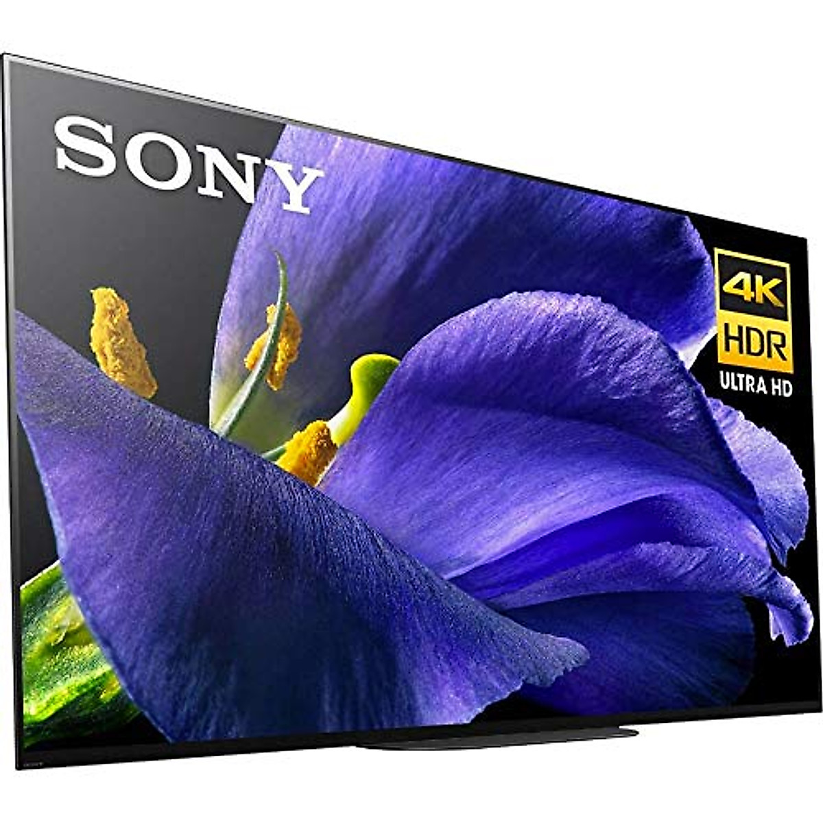 Sony XBR-65A9G 65-inch TV: MASTER Series BRAVIA OLED 4K Ultra HD Smart TV with HDR and Alexa Compatibility - 2019 Model
