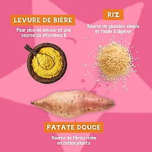 Benevo Vegan Pawtato Knots Large