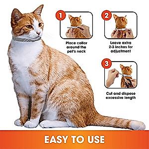 Parenda Cat Flea Collars 13 Inches - Flea Collars for Cats Fit Flea Treatment for Cats Lasting 12 Months - Waterproof Cat Flea Collar - Cat Flea Treatment 100% Natural Ingredients