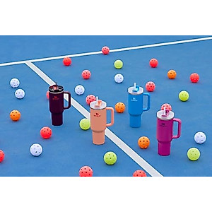 Stanley Quencher H2.0 Tumbler with Handle and Straw 30 oz | Flowstate 3-Position Lid | Cup Holder Compatible for Travel | Insulated Stainless Steel Cup | BPA-Free | Plum