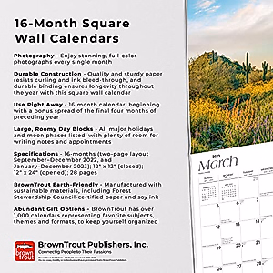 Arizona Wild & Scenic | 2023 12 x 24 Inch Monthly Square Wall Calendar | BrownTrout | USA United States of America Southwest State Nature