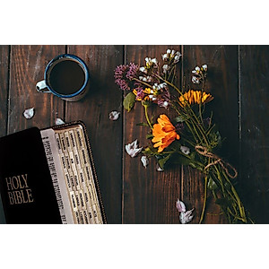 Tabbies Gold-Edged Bible Indexing Tabs, Old & New Testament, 80 Tabs Including 64 Books & 16 Reference Tabs (58331)