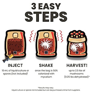 MushroomSupplies.com All in ONE Mushroom Grow Kit in-a-Bag (3 LBS) | Mushroom Grow Bag with Sterilized Grain and Substrate | Easy Grow Your Own Mushrooms