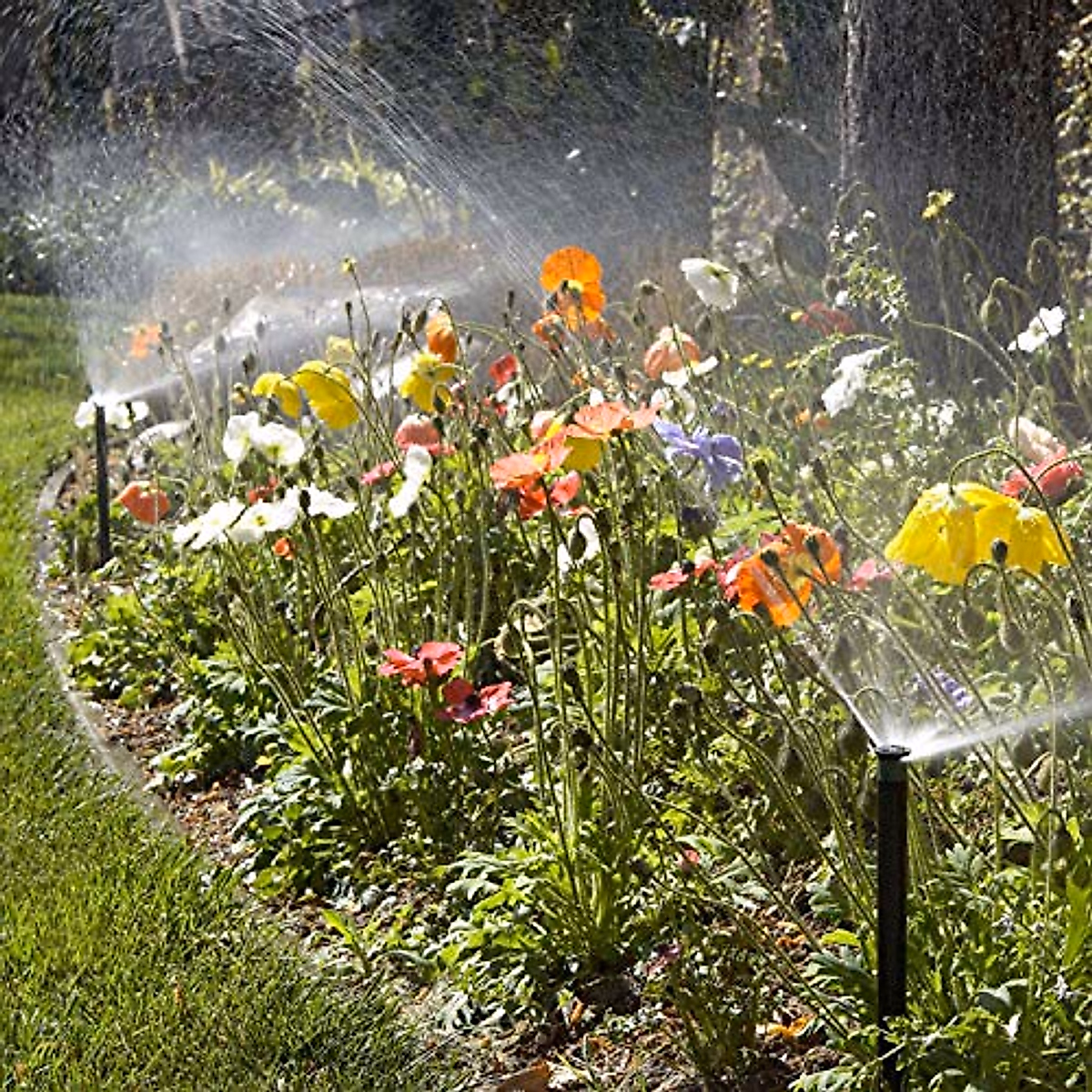 Hunter Industries RTL2001PROS0415A Hunter Pro 4" Pop-up Sprinkler with 15' Adjustable Spray and Nozzle, Black