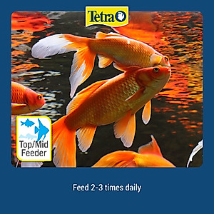 Tetra 77126 TetraFin Goldfish Flakes, 1-Ounce, 185 ml