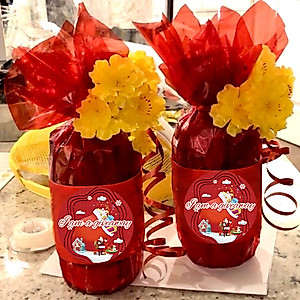 Tickjoy 200 ft Red Cellophane Wrap Roll (16 in x 200 ft), Colored Cellophane Wrap-Red Transparent Cellophane Wrap for Gift Baskets, Attached with 2-Roll Ribbon