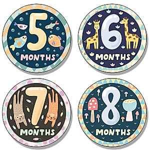 Friendly Animals Baby Monthly Stickers. 12 Large, Adorable Style Animal and Nature Designs for The First 12 Months. Ideal as a Gift for Baby Shower