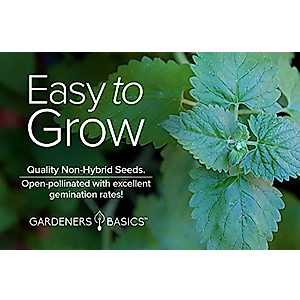 Gardeners Basics Catnip Seeds for Planting is A Heirloom, Non-GMO Herb Variety- Nepeta Cataria Herb Seeds Great for Indoor and Outdoor Gardening and Cats