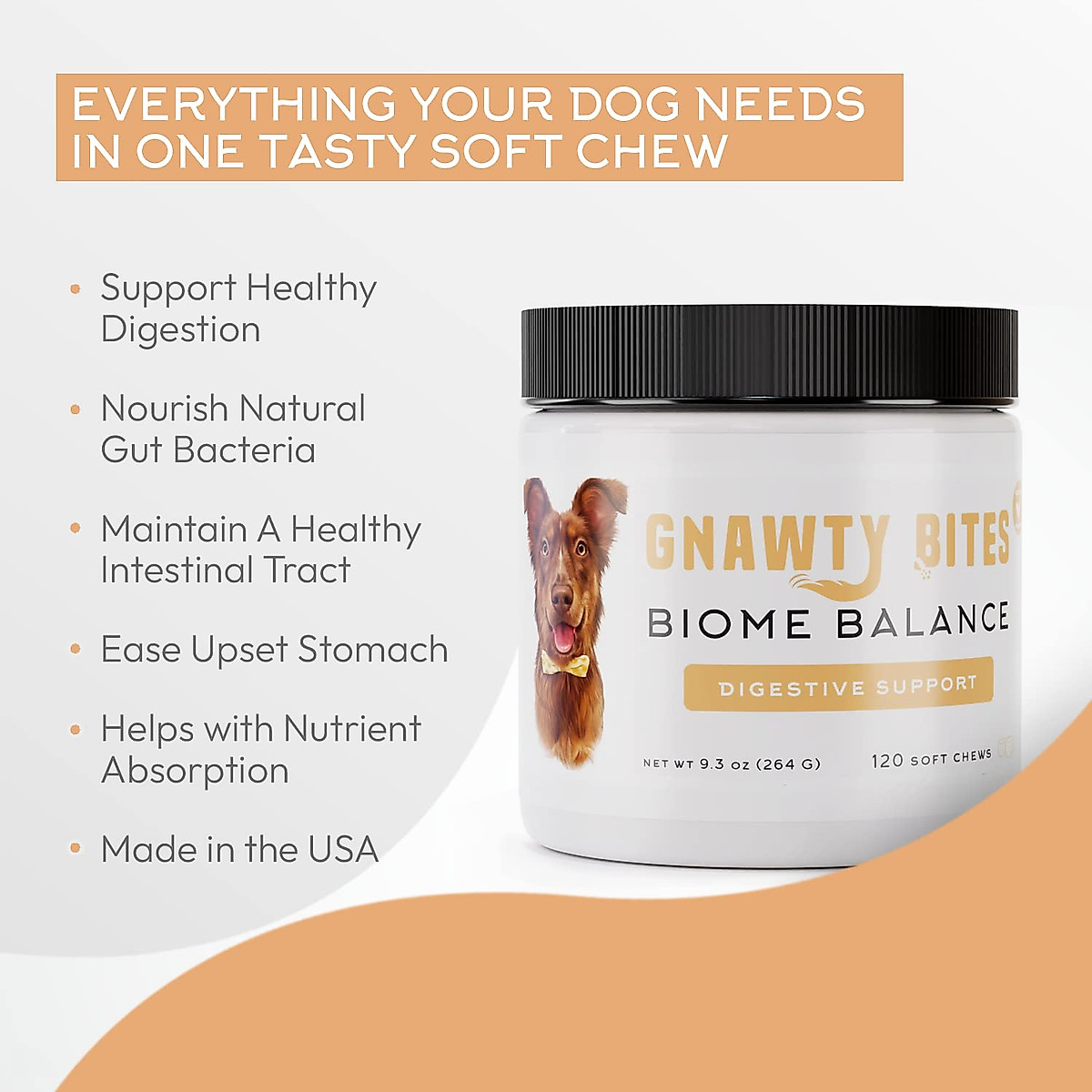 Gnawty Bites Biome Balance | Dog Probiotics for Healthy Gut Flora for Upset Stomach, Diarrhea, & Bowel Support with Digestive Enzyme & Lactobacillus (5-Strain Probiotic Blend), 120 Soft Chews