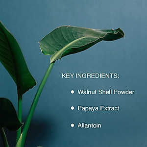 Pharmagel Enzyme Ex-Cell - Gentle Papaya Face Exfoliator Scrub for All Skin Types - 6 Ounces