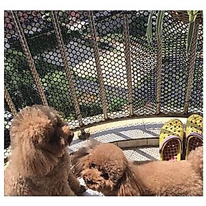 MAGFYLY Chicken Wire Mesh Child Safety Net, Staircase Balcony Anti-Fall Net, Plastic Fence Net, Breeding Net, Lawn Protection Net, Black, 1x3m (Color : Mesh1.2mm, Size : 150m)