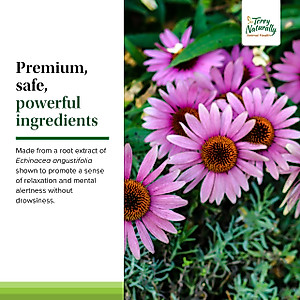 Terry Naturally Animal Health Calming Formula - 45 Tablets - Promotes Calm & Relaxation for Dogs - Non-GMO - 45 Servings