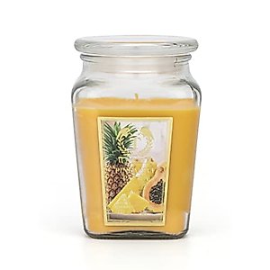 PINEAPPPLE-Papaya Long Lasting Highly Scented Fragrance Candle 18OZ Premium Natural Soy Blend