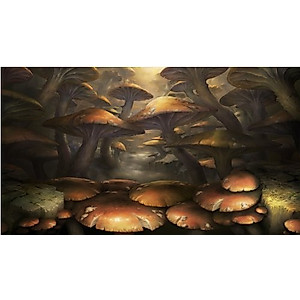 Dragon's Crown - PlayStation Vita