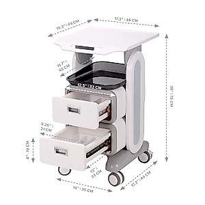Professional Utility Cart with Wheels - Dental Office Rolling Cart with Drawers - Medical Trolley Cart - Rolling Storage Cart for Cavitation Machine, Esthetician Supplies, Lab Tools - Salon Trolley