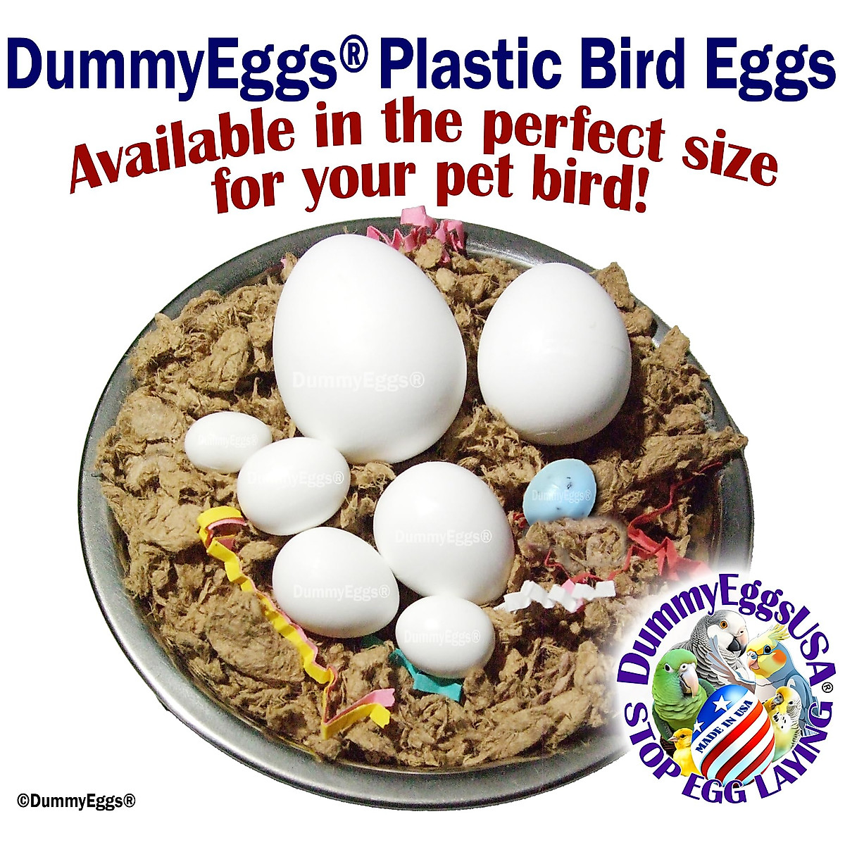 Plastic Large Parrot Eggs for Macaw & Cockatoo. 2 Dummy Solid Non-Toxic Fake Decoy Faux Mock Eggs 1-7/8" x 1-1/2" (4.8 x 3.8cm)
