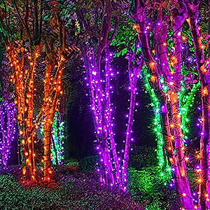 Dazzle Bright 2 Pack 200 LED 66 FT Halloween Solar String Outdoor Lights, Solar Powered with 8 Modes Waterproof Christmas Lights for Bedroom Patio Garden Tree Party Yard Decoration (Purple)