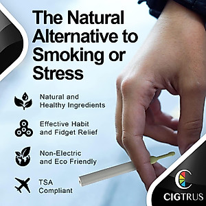 Natural Nicotine-Free & Tobacco-Free Smoking Alternative - Non-Electric Craving Relief, Quit Smoking Aid with Cigtrus (Fresh Spearmint)
