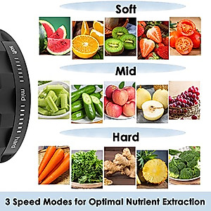 Juicer Machines, NXONE Cold Press Juicer for Vegetable and Fruit, Slow Masticating Juicer with 3 Speed Modes, Slow Juicer with Quiet Motor & Reverse Function, Easy to Clean with Brush, Black