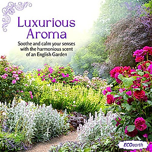 Luxury Travel Size Shampoo & Conditioner Set (1 Fl Oz, total 100 Pices), Grade-A Ingredients and Gift Packaging, Bulk Hotel Amenities and Toiletries by EcoEarth