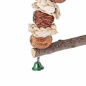Bird Swing Healthy Cuttlefish Bone Toxic Free Parrots Swing Perch Hanging Nuts with Bells for Parakeets Parakeets (S)