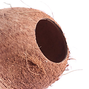 POPETPOP Pet Sleeping Nest Animal Squirrel Nest Hanging Hamster Nest Pet Bamboo Animal Nest