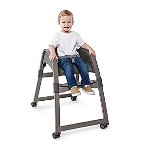 Ingenuity Boutique Collection 3-in-1 Wood High Chair, Bella Teddy - High Chair, Toddler Chair, and Booster