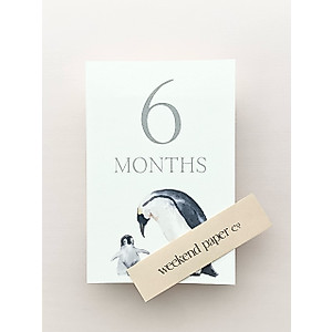 Weekend Paper Co.™ Baby Animals Milestone Cards, baby monthly marker for an expecting mother or new mother, baby gifts or shower registry.