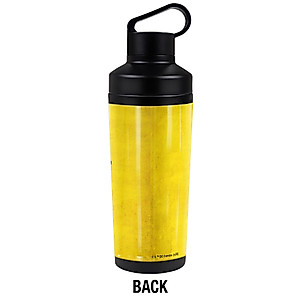 DC Flash OFFICIAL Character 18 oz Insulated Water Bottle, Leak Resistant, Vacuum Insulated Stainless Steel with 2-in-1 Loop Cap