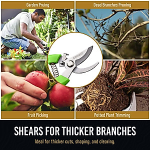 Craft911 Pruning Shears & Gardening Scissors Set - 7" Titanium Coated Sharp Garden Clippers, Stainless Steel Garden Shears for Plant - Garden Pruners, Florist Scissors with Non-Slip Grip