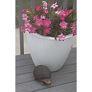 CLEVER GARDEN Hedgehog Garden Statue Outdoor Décor, Resin Figurine Decoration for Lawn, Yard, Patio, Porch, and More