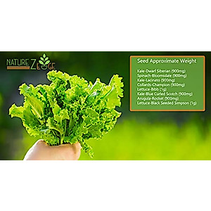 Heirloom Lettuce Mix and Greens Garden Seeds, 8 Varieties, 5300 Seeds, Hydroponic Seeds, Includes Bibb Butter Lettuce Seeds for Planting, Kale, Arugula Seeds, Spinach, Collards, and More, Non-GMO…