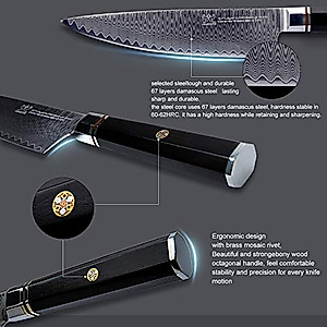 FAMCÜTE 8" Chef's Knife, Made of 67 Layers Damascus w/Octago Indonesian Ebony Handle Professional Japanese Gyuto Knife have Razor Sharp and Superb Edge Retention